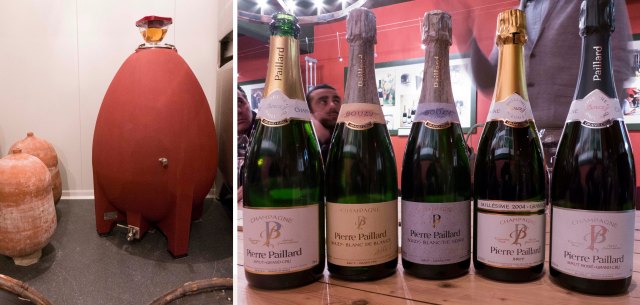 Field visit to small vignerons at Champagne – SWOTWINES